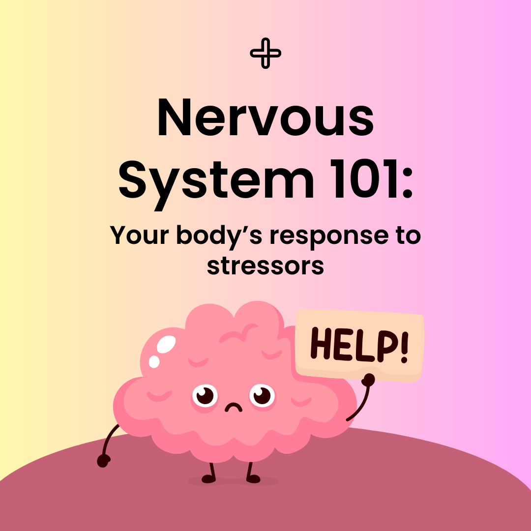 Nervous System 101: Your body's response to stressors – Well+Core ...
