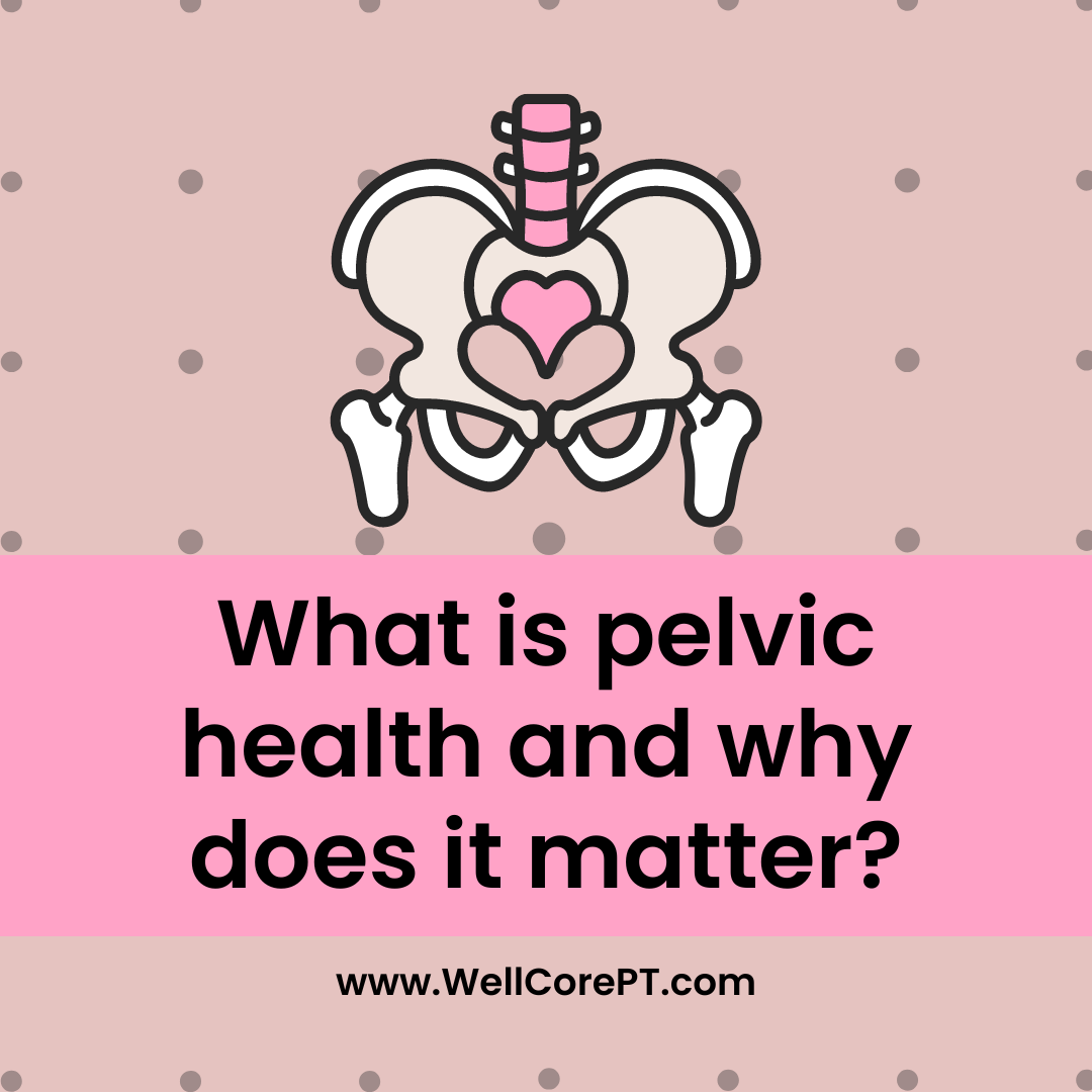 What is Pelvic Health and Why Does It Matter? – Well+Core Physical Therapy